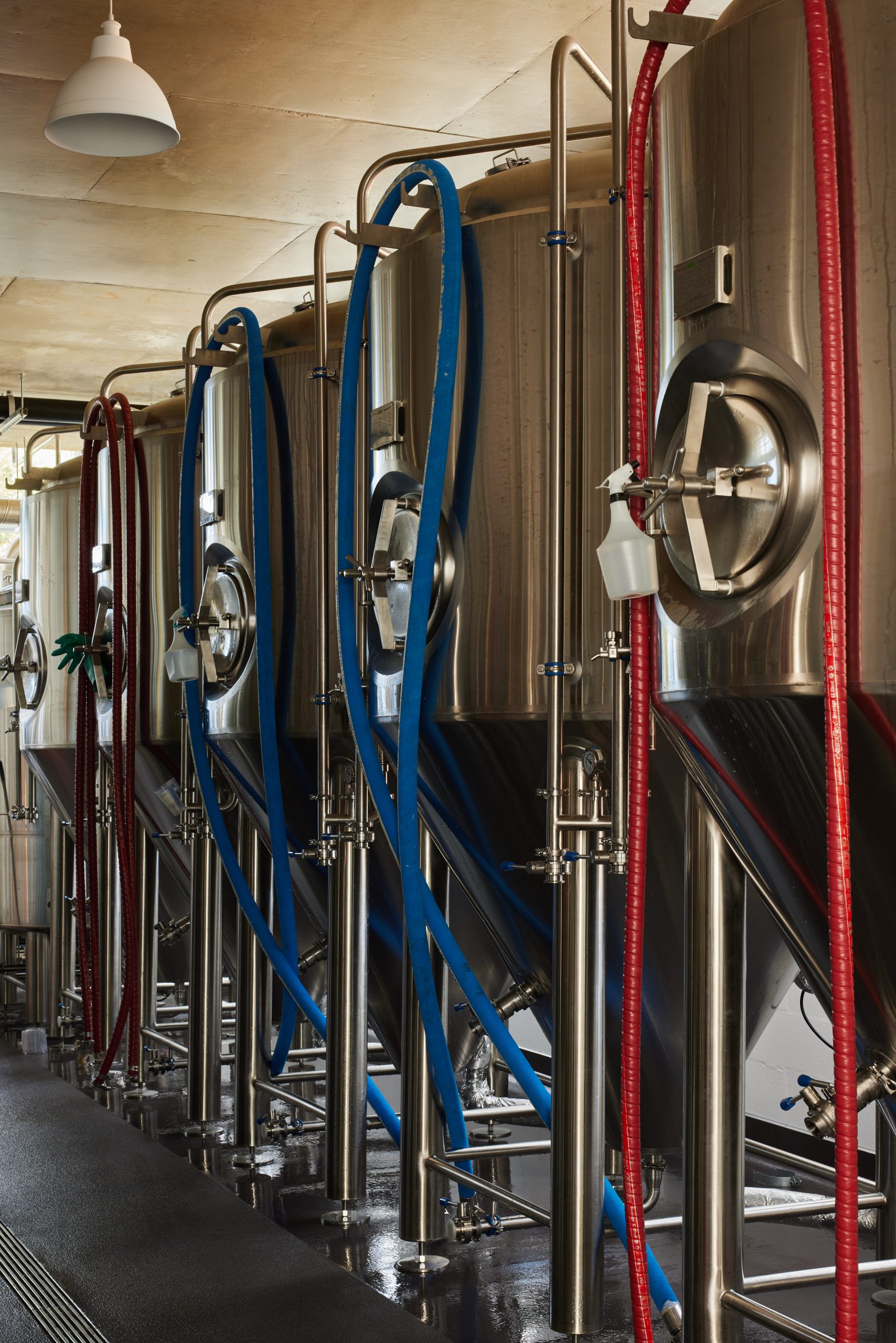 Author: Kylie Taylor - Straddie Brewing Co